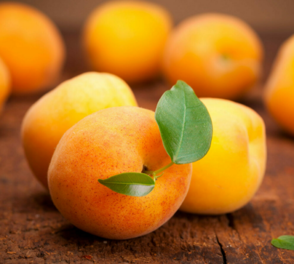 Apricot (Each) | Ripe London