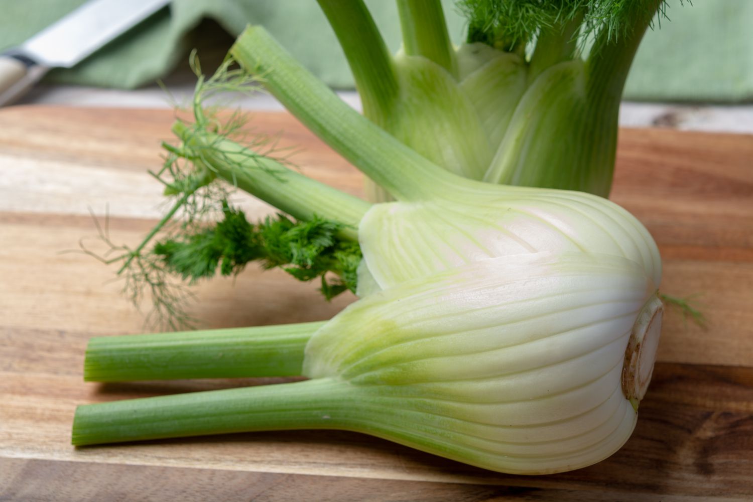 Fennel (Each) | Ripe London