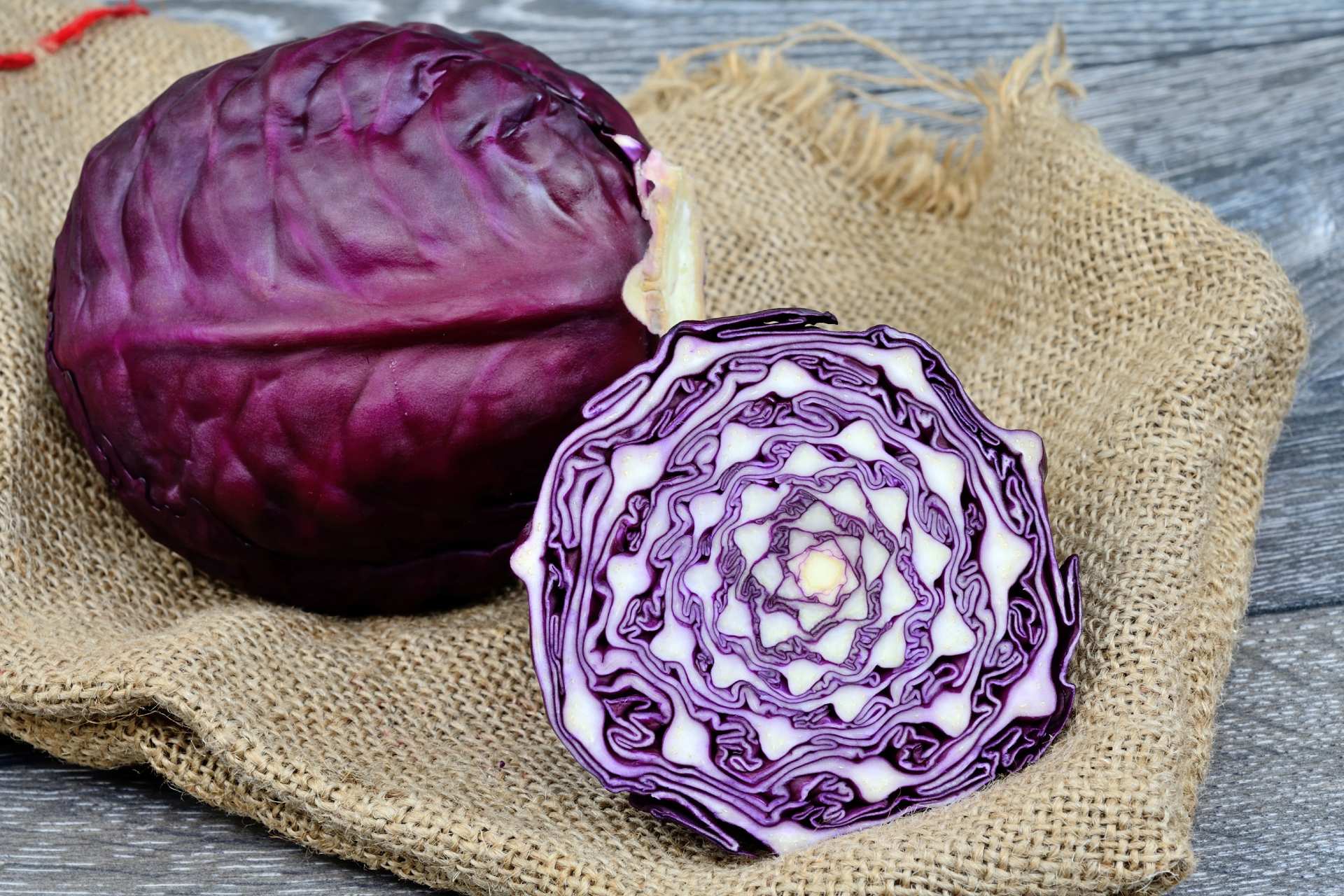 Red Cabbage (Each) | Ripe London