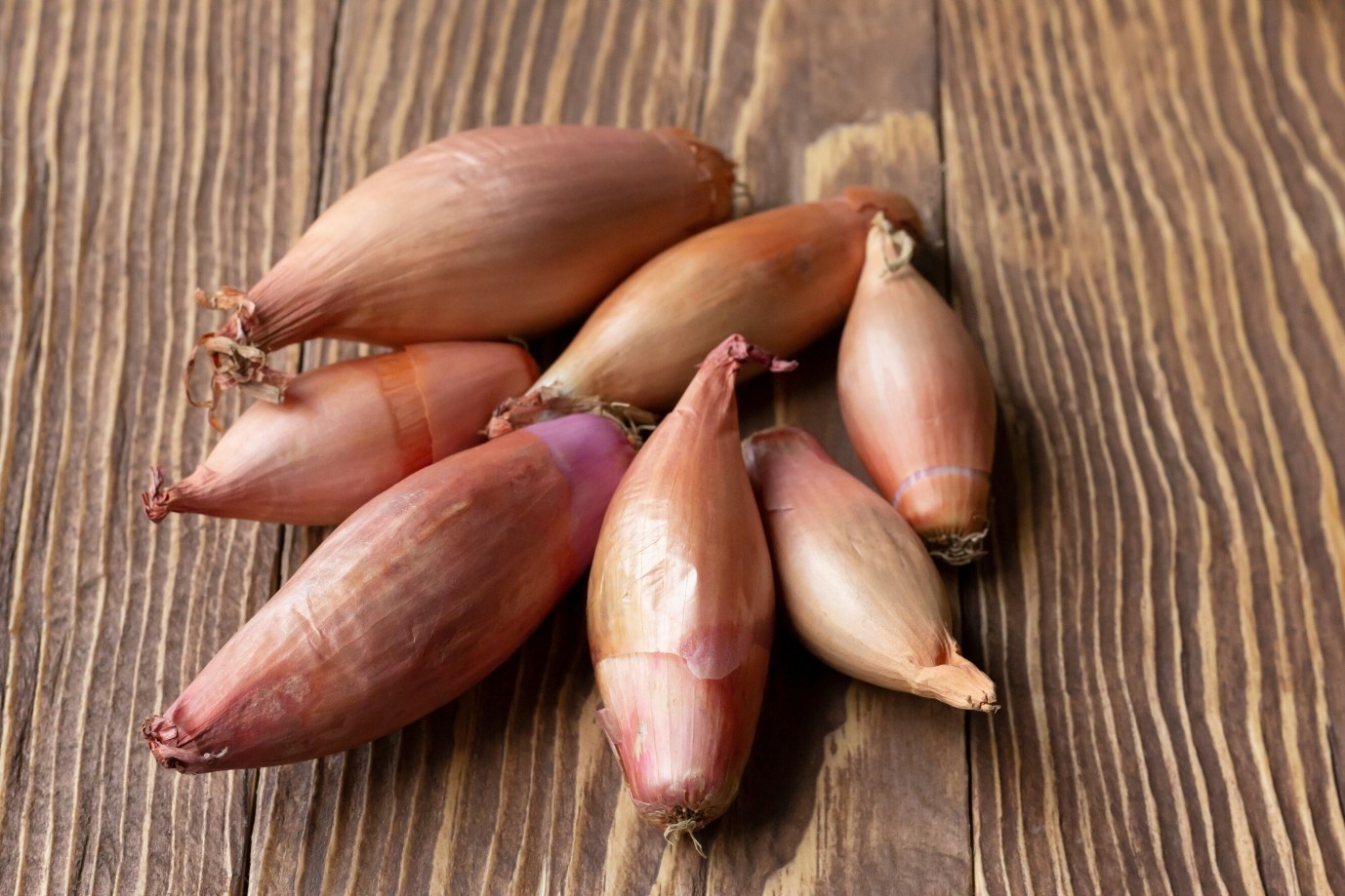 Shallots Long (Each) | Ripe London