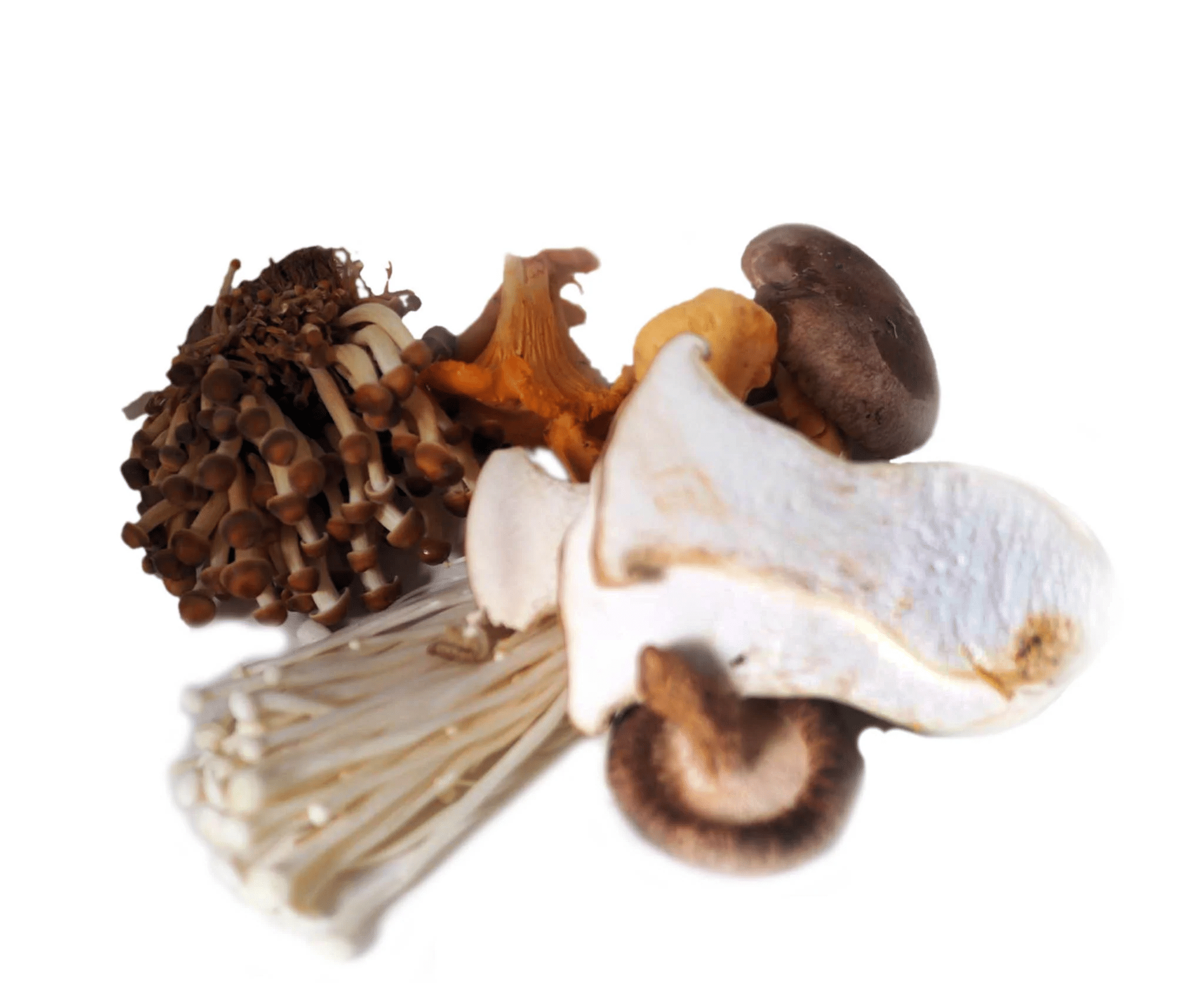 Chefs Mixed Mushroom (500g) | Ripe London
